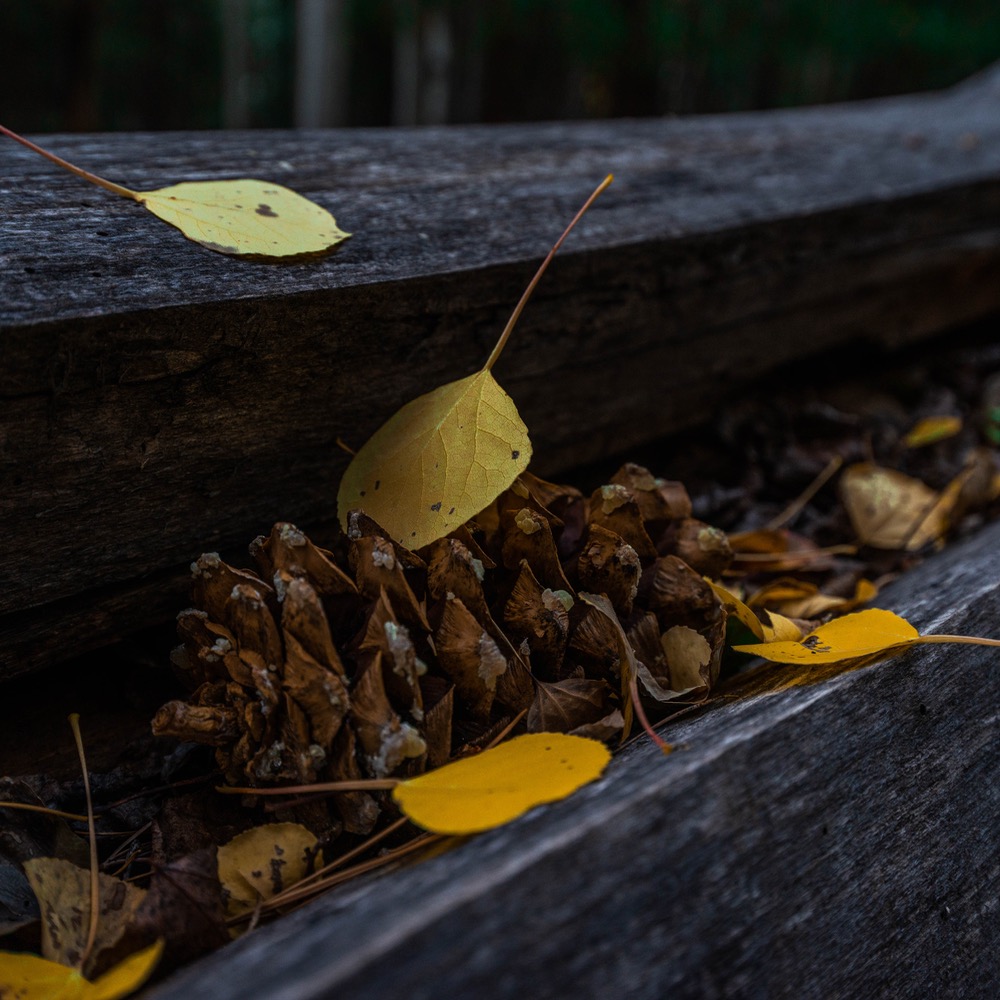Jonathan Cady - 11 Months