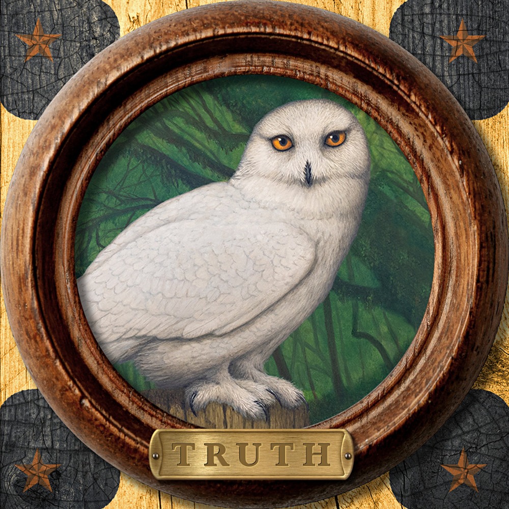 Robin Macy - Truth