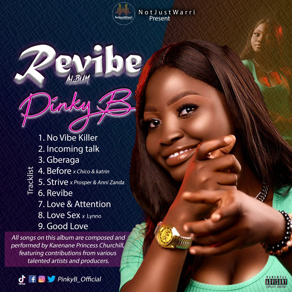 Pinky B - Revibe The Album