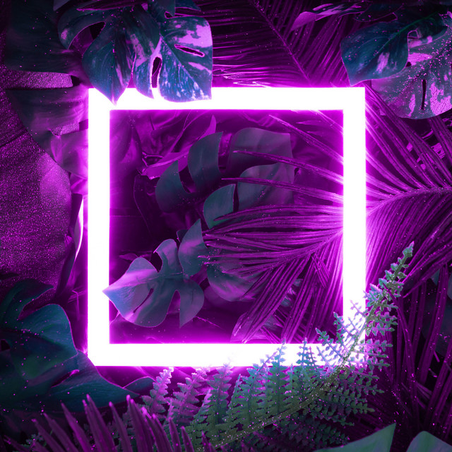 Alonté Cross - In Vibes We Trust