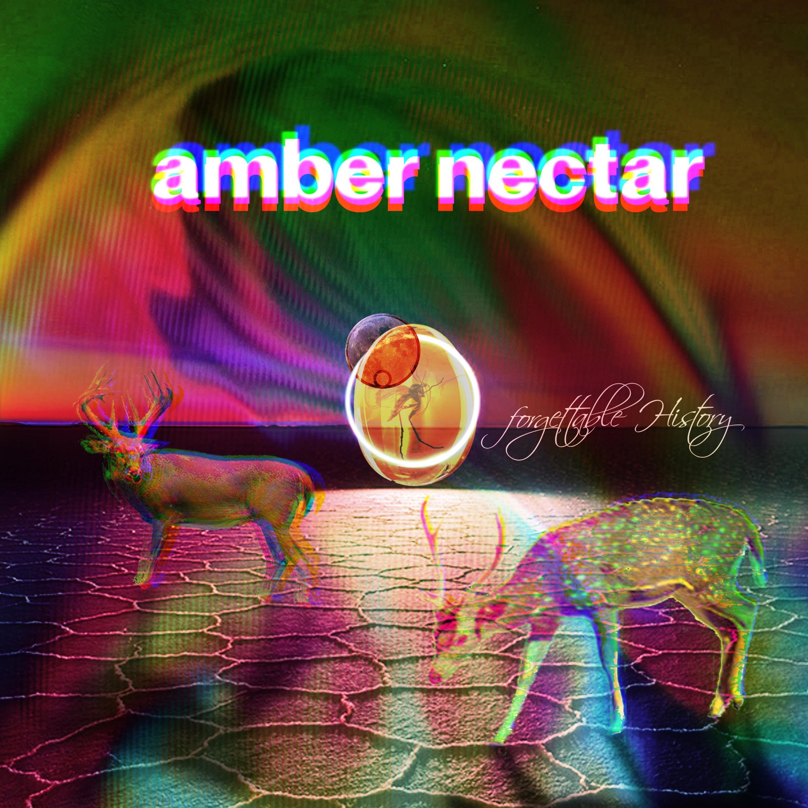 forgettable History - amber nectar - Single