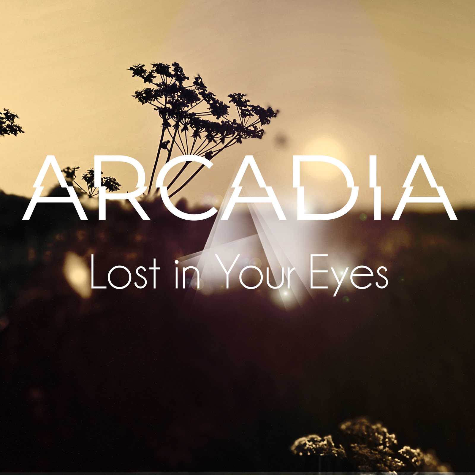 Arcadia - Lost in Your Eyes