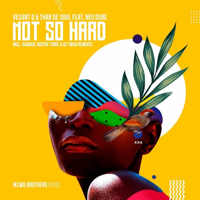 Vesant Q, Thab De Soul feat Neo Dube - Not So Hard