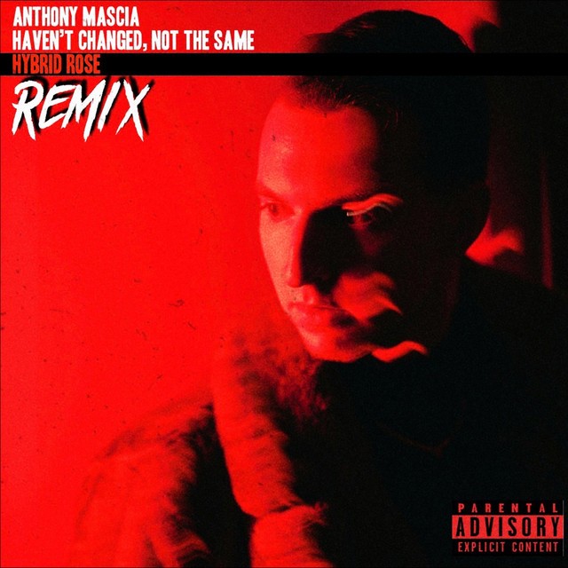 Anthony Mascia - Haven't Changed, Not the Same (Hybrid Rose Remix)