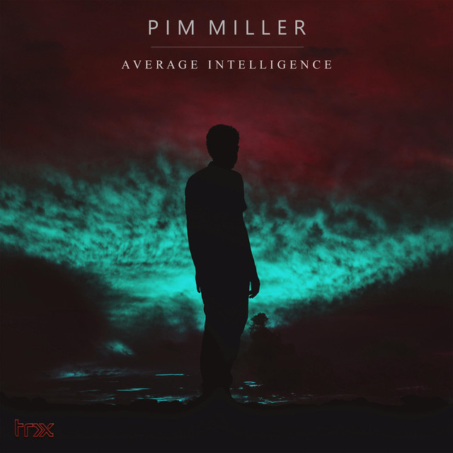 Pim Miller - Average Intelligence